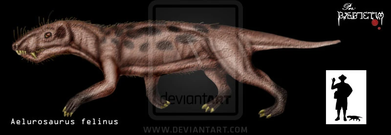 Aelurosaurus | Animal of the world Wiki | Fandom