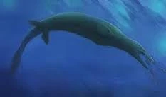 Halisaurus | Animal of the world Wiki | Fandom