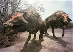 Entelodont | Animal of the world Wiki | Fandom