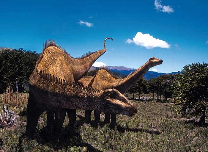 Diplodocus | Animal of the world Wiki | Fandom