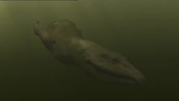 Chasmatosaurus | Animal of the world Wiki | Fandom