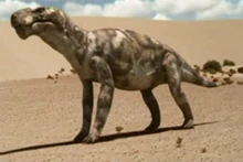 Gorgonopsid | Animal of the world Wiki | Fandom