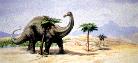 Barapasaurus | Animal of the world Wiki | Fandom