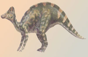 Hypacrosaurus | Animal of the world Wiki | Fandom