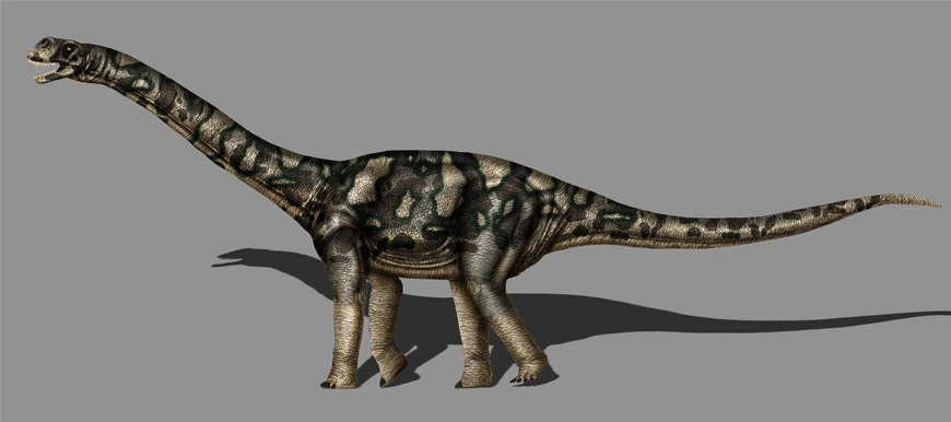 Abrosaurus | Animal of the world Wiki | Fandom