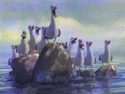 Seagulls | Animal of the world Wiki | Fandom
