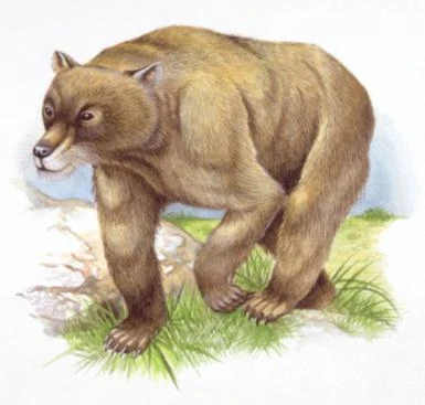 Agriotherium | Animal of the world Wiki | Fandom