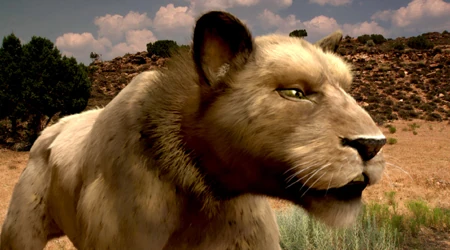 American Lion | Animal of the world Wiki | Fandom