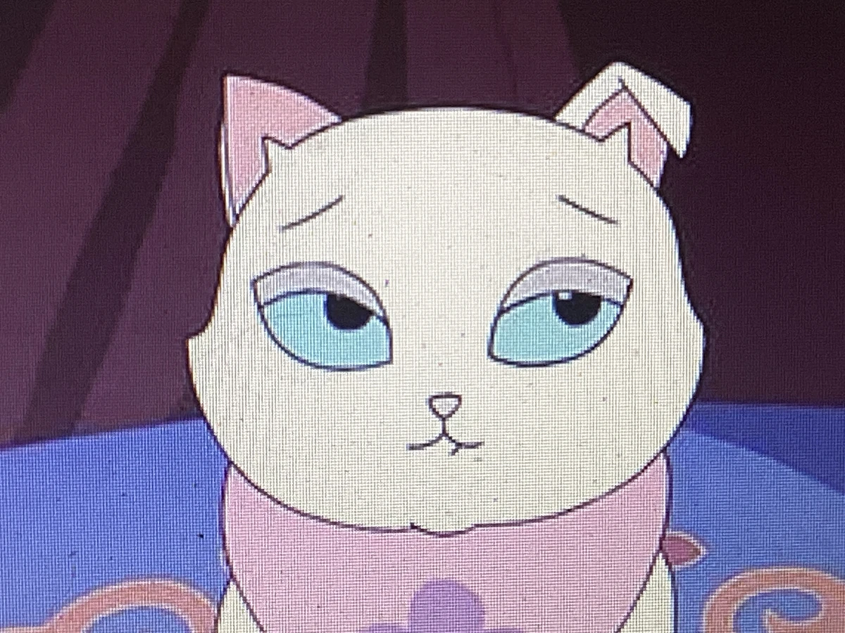 Sheegwa Miao | Animal of the world Wiki | Fandom
