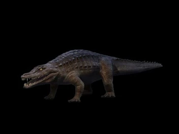 Brachychampsa Montana | Animal of the world Wiki | Fandom