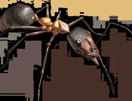 Giant Ants | Animal of the world Wiki | Fandom