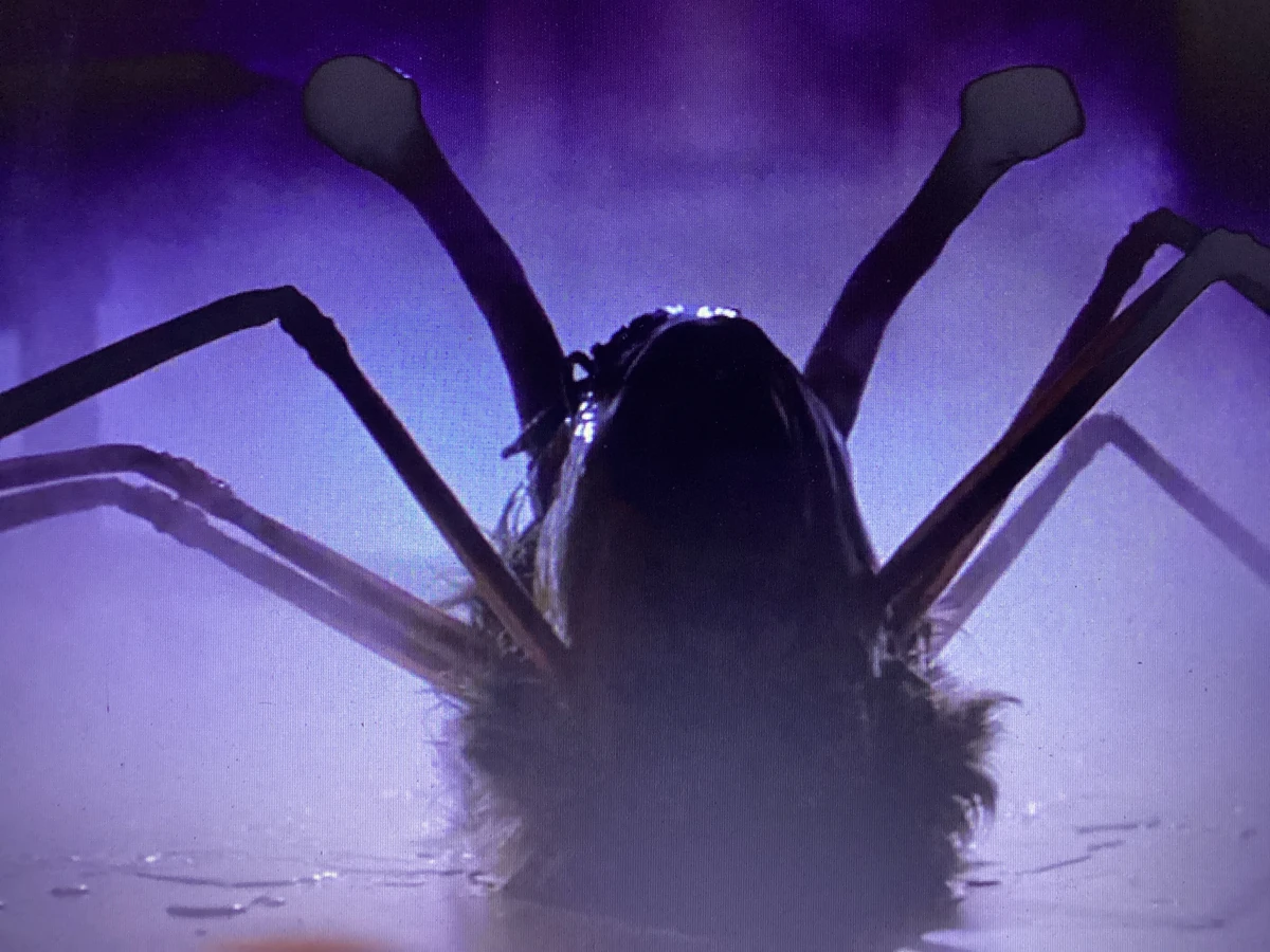 Norris Thing | Animal of the world Wiki | Fandom