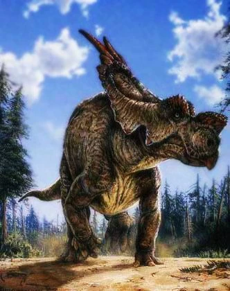 Achelousaurus | Animal of the world Wiki | Fandom