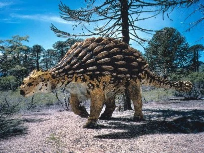 Ankylosaurus | Animal of the world Wiki | Fandom