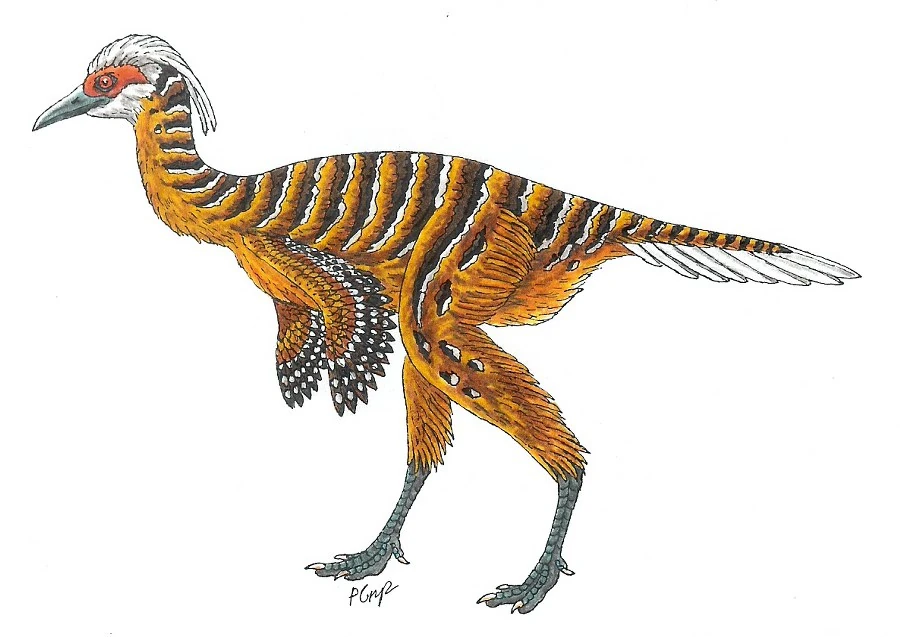 Alamitornis | Animal of the world Wiki | Fandom