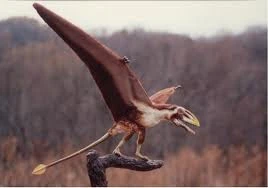 Dimorphodon | Animal of the world Wiki | Fandom