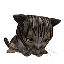 Tabby | Animal Party Wiki | Fandom