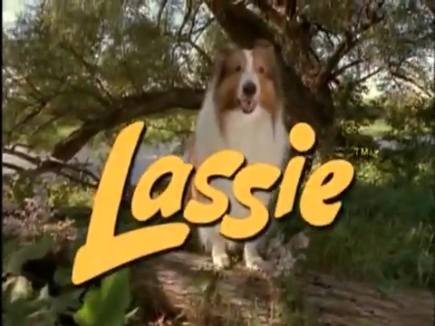 Lassie (1997) | Animal Planet Broadcast Archives Wiki | Fandom