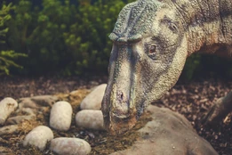 Dinosaurios | Wiki Animalpedia | Fandom