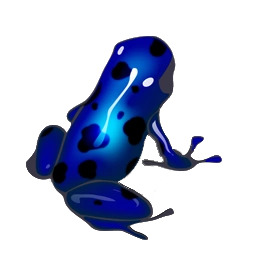 Sistemática dos anfíbios | Wikia AnimalPedia | Fandom