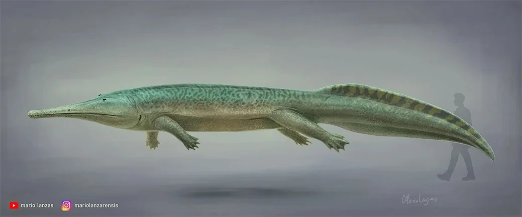 Labyrinthodont | The Most Extreme Wiki | Fandom