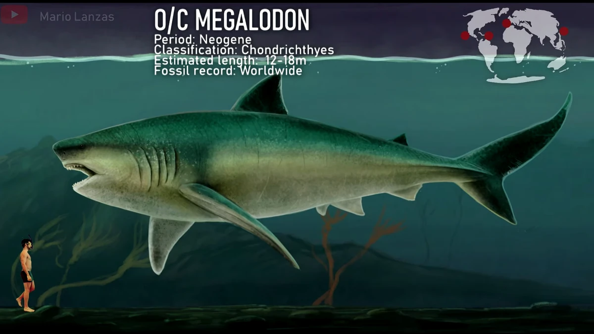 Megalodon | The Most Extreme Wiki | Fandom