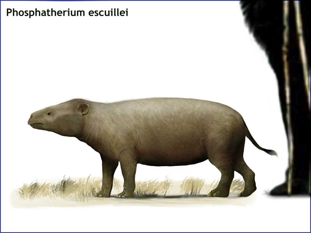 Early Proboscideans | The Most Extreme Wiki | Fandom