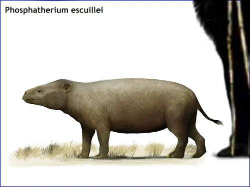 Early Proboscideans | The Most Extreme Wiki | Fandom