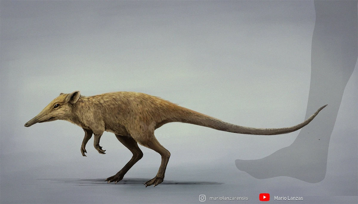 Leptictidium | The Most Extreme Wiki | Fandom