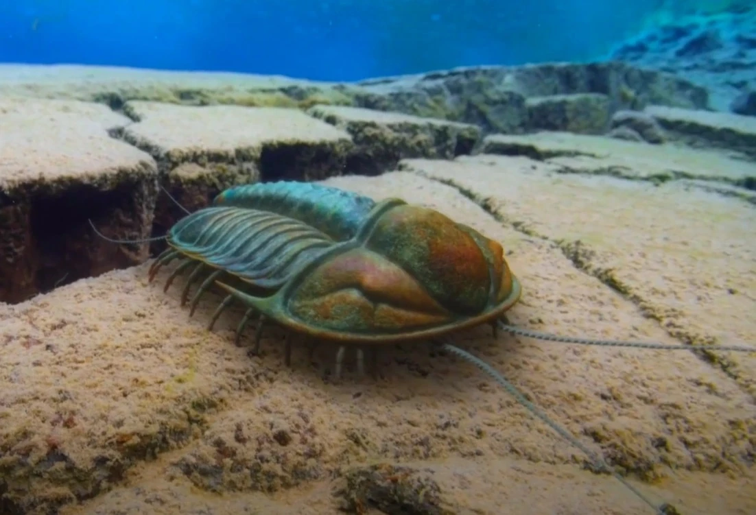 Trilobite | The Most Extreme Wiki | Fandom