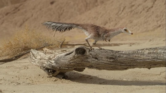 Alvarezsaur | The Most Extreme Wiki | Fandom