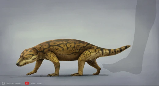 Thrinaxodon | The Most Extreme Wiki | Fandom