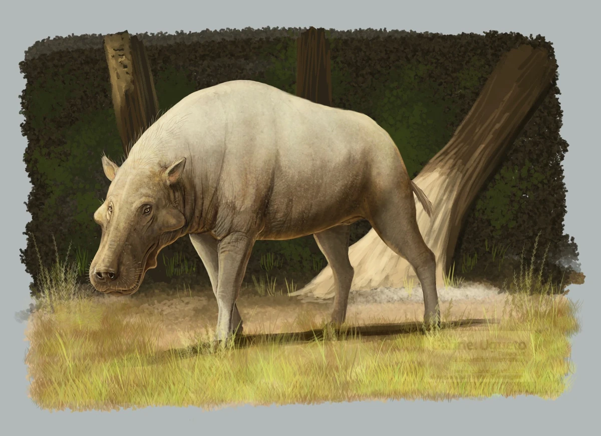 Entelodon | The Most Extreme Wiki | Fandom