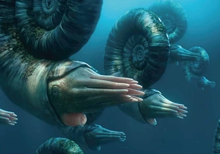 Ammonite | The Most Extreme Wiki | Fandom