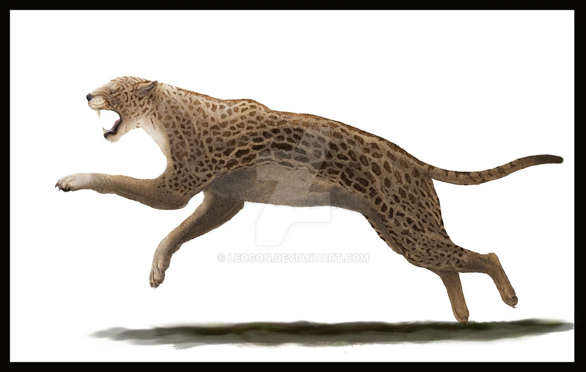 Nimravid | The Most Extreme Wiki | Fandom