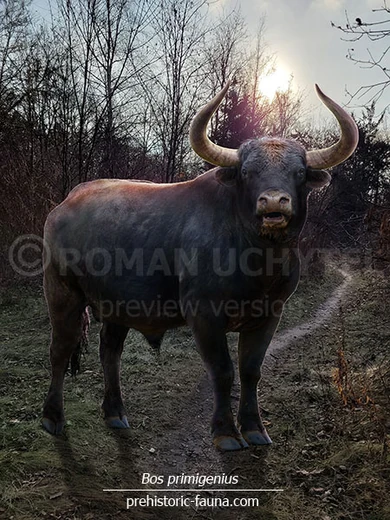 Aurochs | The Most Extreme Wiki | Fandom