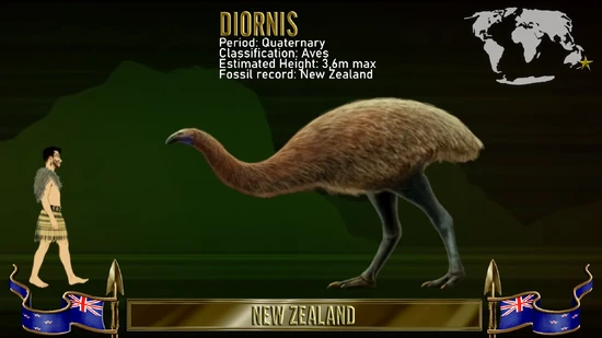 Extinct Ratites | The Most Extreme Wiki | Fandom