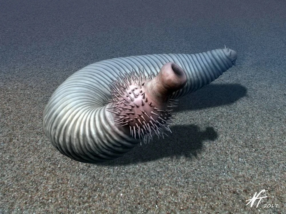 Cambrian Worms | The Most Extreme Wiki | Fandom