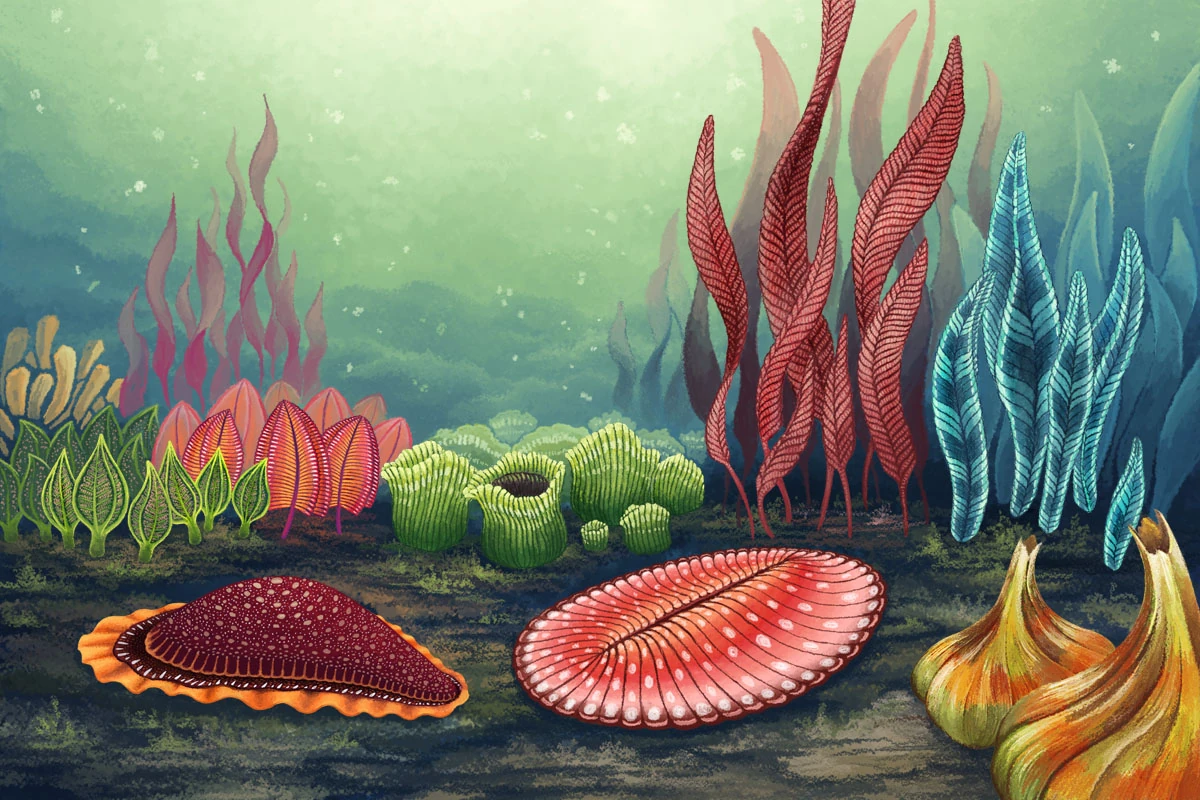 Ediacaran Animals | The Most Extreme Wiki | Fandom