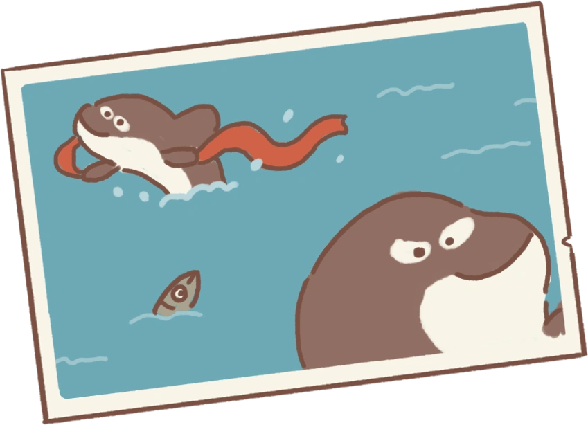 Orca's Letter | Animal Restaurant Wiki | Fandom