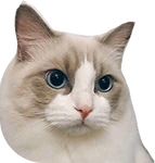 Dori the Promoter | Animal Restaurant Wiki | Fandom