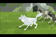 List of Animals in Wild Kratts | Animals Wiki | Fandom
