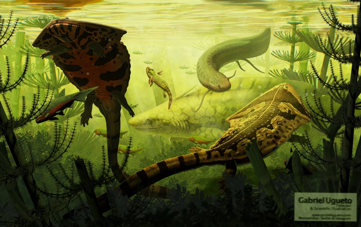 Diplocaulus | Animal and Plant Wiki | Fandom
