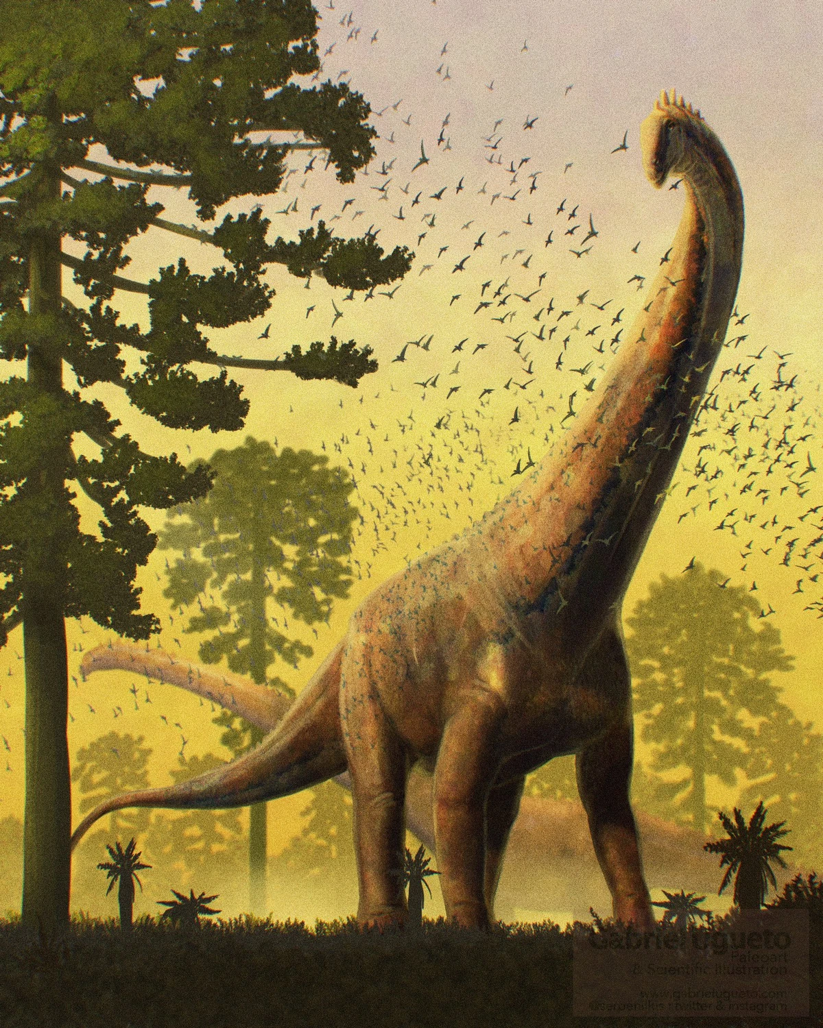 Barosaurus | Animal and Plant Wiki | Fandom