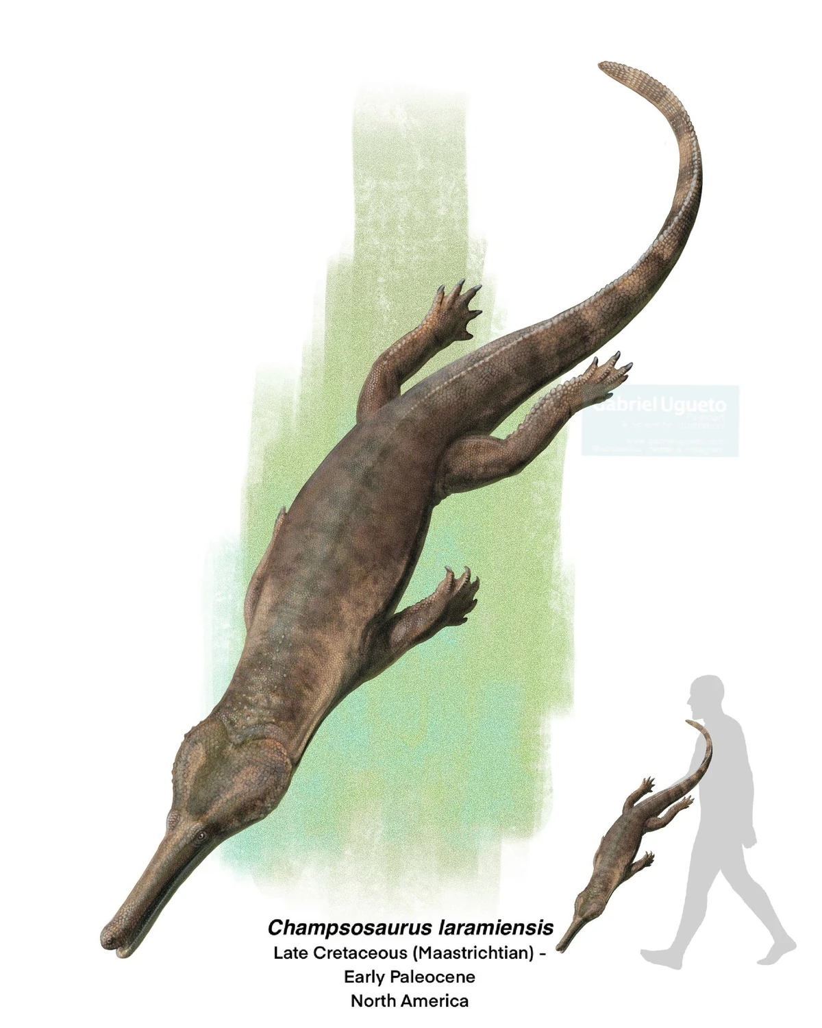 Champsosaurus | Animal and Plant Wiki | Fandom