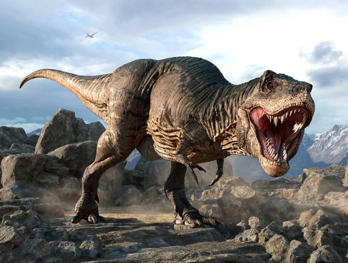 Category:Dinosaurs | Animals. Animals, Animals! Wiki | Fandom