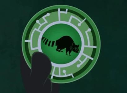 Raccoon Power | Animals. Animals, Animals! Wiki | Fandom