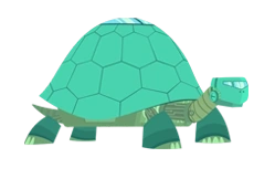 Tortuga HQ | Animals. Animals, Animals! Wiki | Fandom