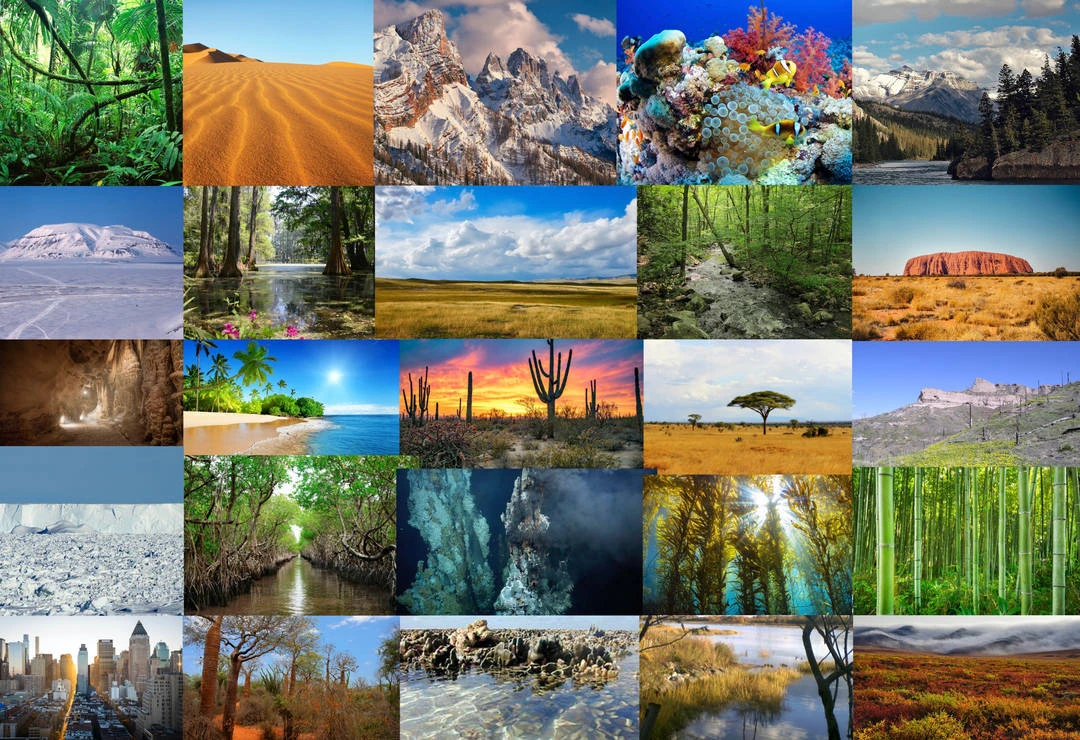 Habitats | Animals. Animals, Animals! Wiki | Fandom