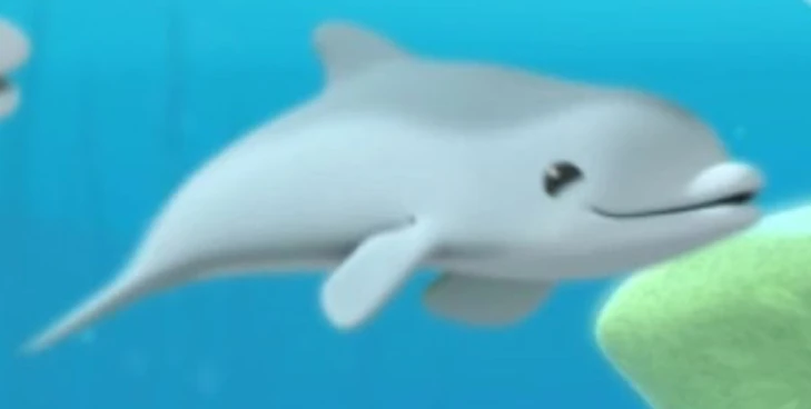 Baby Dolphin | Animals. Animals, Animals! Wiki | Fandom
